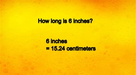 How Long Is 6 Inches Know Top 10 Common Things That Are 6 Inches Long
