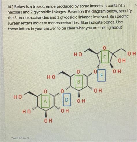 Solved 14 Below Is A Trisaccharide Produced By Some