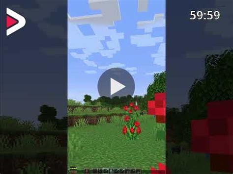 How To Find Your Seed in Minecraft Java Edition دیدئو dideo
