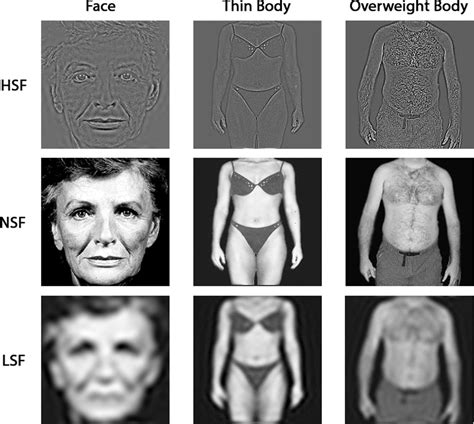 Appearance Evaluation Of Others Faces And Bodies In Anorexia Nervosa