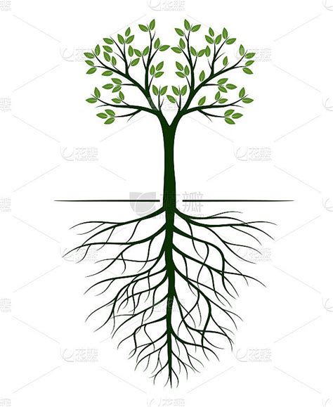 树的形状，有叶子和根。矢量插图轮廓。植物在花园。