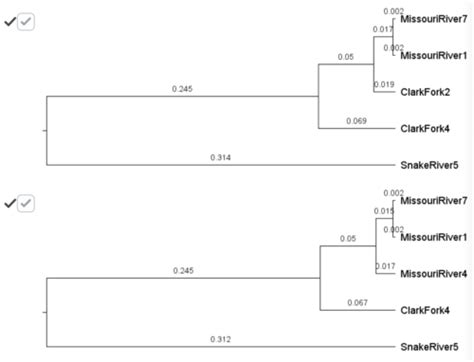Evolution Quiz Questions Flashcards Quizlet