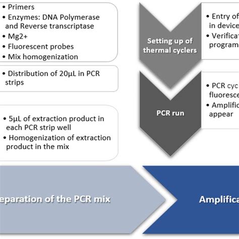 Description Of The Analytical Process Object Of Risk Analysis Download Scientific Diagram