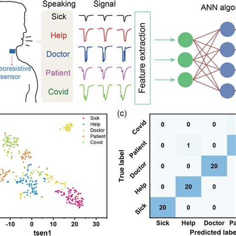 A Schematic Diagram Of The Speech Recognition Process B Cluster