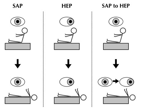 Positional Tests Performed The Figure Represents The Different