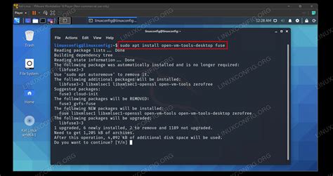 Comment Installer Des Outils Vmware Sur Kali Linux Ilinuxgeek