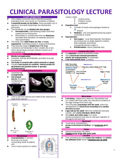 Class Trematoda Class Trematoda This Chapter Covers The Class Of Helminth Parasites Belonging