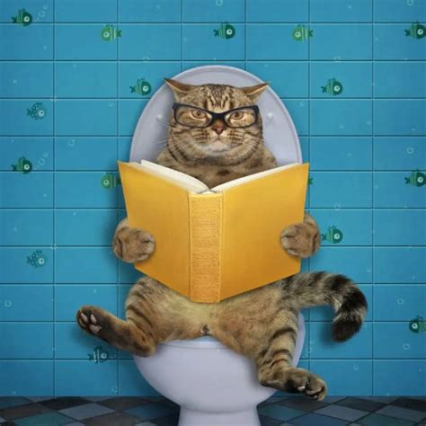 Your First Colonoscopy Prep What To Expect And Other Fun Stuff Of