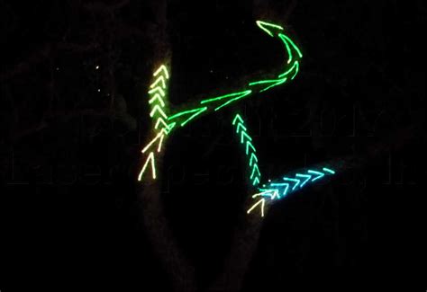 Laser Mapping A Small Oak Tree Laser Spectacles Inc