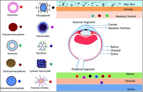 Schematic Representation Of Different Nanocarrier Systems And Their