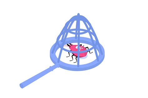 소프트웨어 또는 응용 프로그램 테스트 아이소메트릭 벡터 개념입니다 개발 프로세스 디버깅 벡터 일러스트입니다 컴퓨터 소프트웨어에