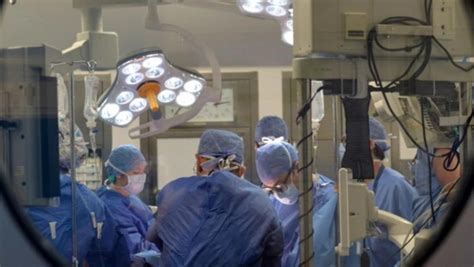 კრაზანის ნაკბენით გარდაცვლილი 9 წლის ბიჭის ორგანოები სხვა პაციენტებს გადაუნერგეს და 5 ადამიანის