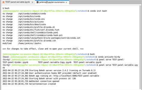 How To Customize The Display From Panel Serve For Use Behind Jupyterhub With Jupyter Server