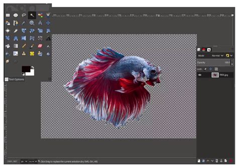How To Create Website Ui Design In Gimp Zakey Design