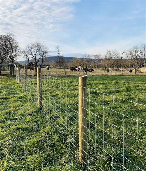 Post And Wire Installation Services