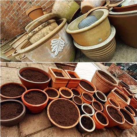 Python Hill Arboriculture Python Hill Arboriculture Ltd