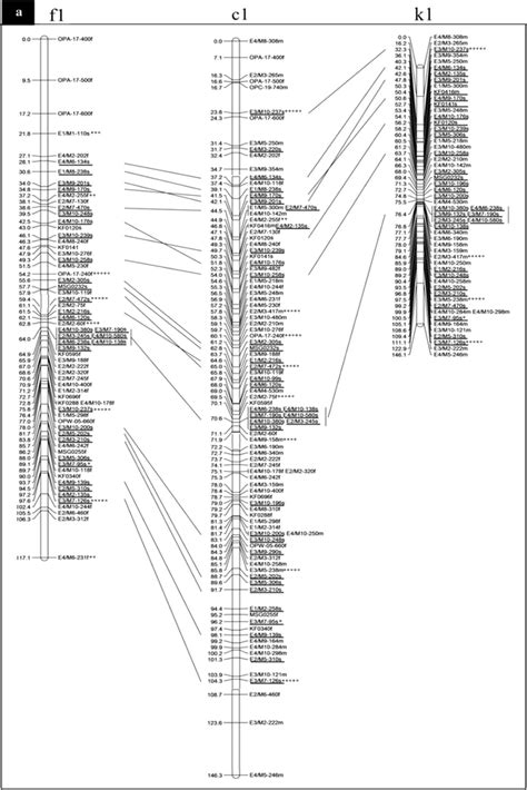 Genetic Linkage Map Based On Rapd Aflp And Ssr Markers For Tea Plant