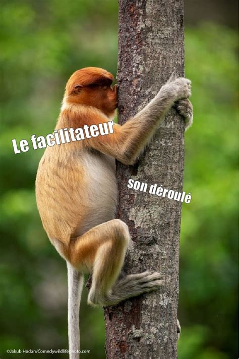 Franck Sinimalé Posted On Linkedin