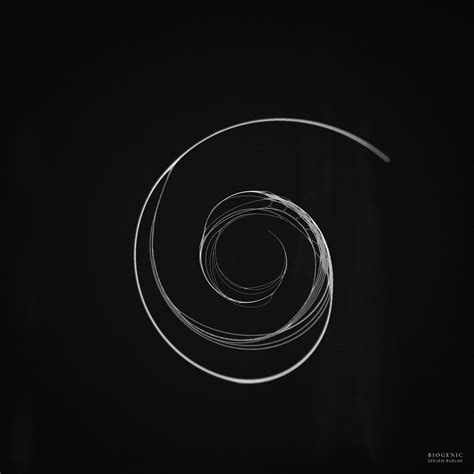 Geometry Of Evolution Behance