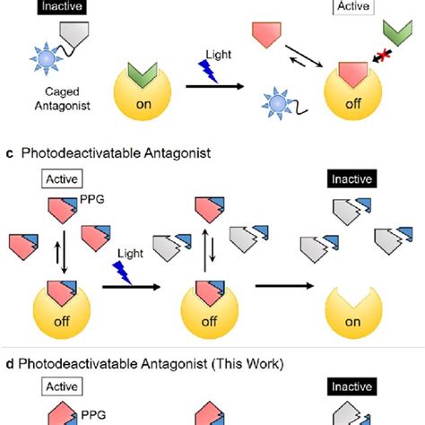Photolysis Of Pcis Hplc Analyses Of The Photolytic Cleavage Products