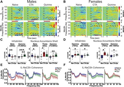 Unraveling Sex Differences In Affect Processing Unique Oscillatory Signaling Dynamics In The