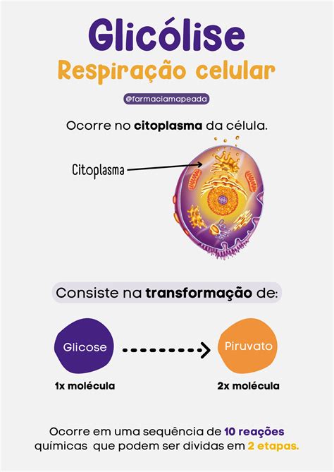 Ficha A3 Glicólise Glicólise Respiração Celular Consiste Na