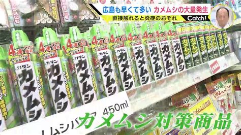 カメムシ大量発生 例年より10倍の地点も 臭いだけでなく分泌物にふれると皮膚炎の危険も 洗濯物の取り入れ時には注意を Tbs News
