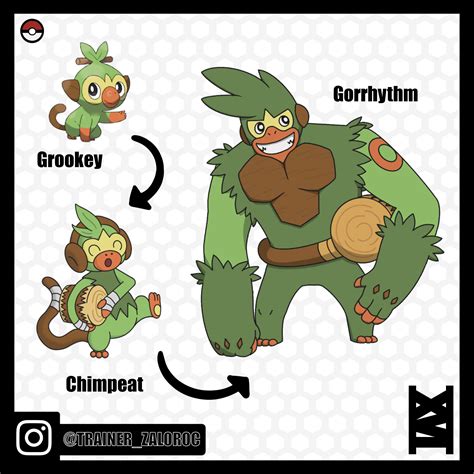 For Those That Wanted To See The Mid Evo For My Grookey Evolution Line Grookey Chimpeat