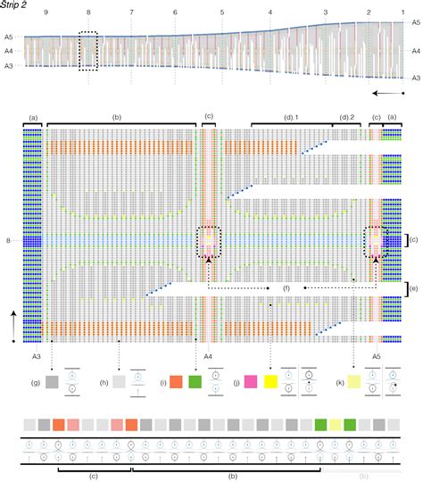 Computational Knitting Mariana Popescu