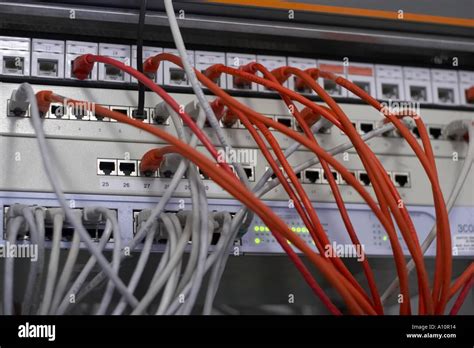 Network Hub Switch Patch Panel Stock Photo Alamy
