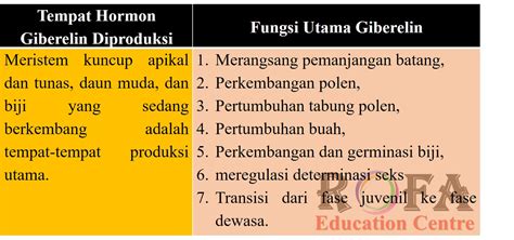 November 2016 ~ Rofa Education Centre
