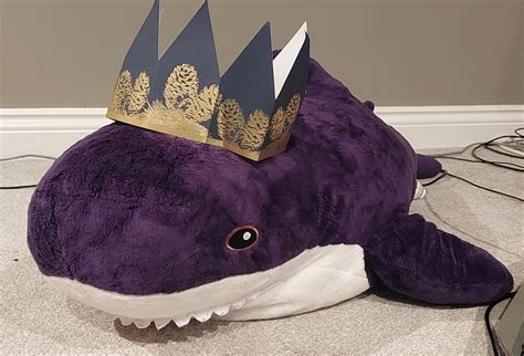 My queen missed me on Xmas so I brought her a crown : r/BLAHAJ