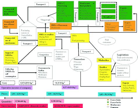 Value Chain Of Nwfps From Central Serbia Abbildung 3 Download