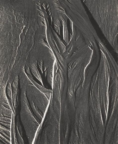 Sonya Noskowiak Sand Pattern 1932 Courtesy Center For Creative