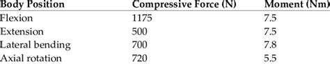 Loading Conditions For Simulated Motions Of A Lumbar Spine [29
