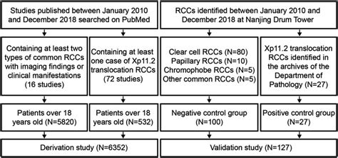 A New Risk Scoring System To Predict Xp112 Translocation Renal Cell