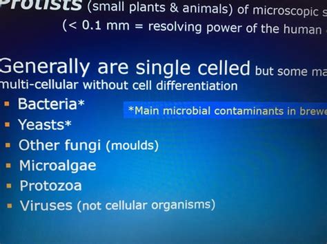 BREWING Intro MICROBIOLOGY Flashcards Quizlet