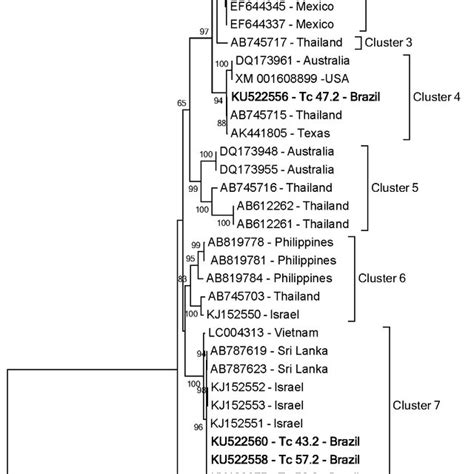 Phylogenetic Analyses On B Bovis Msa 2b Sequences The Sequences