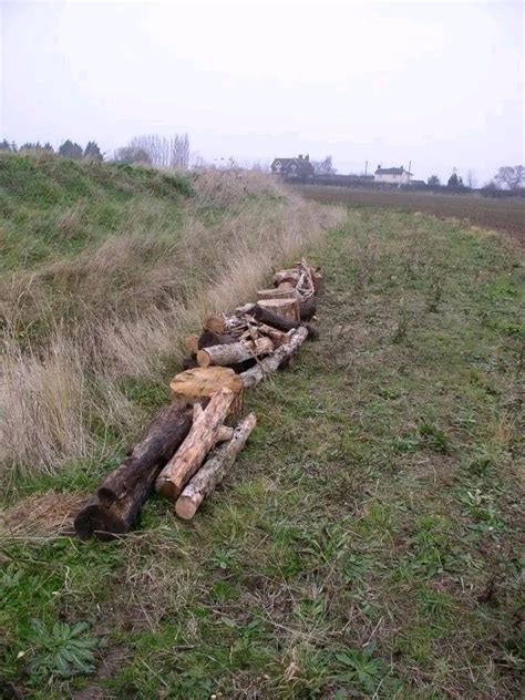 Jon Cranfield Mcieem On Linkedin Habitat Design In Protected Species Mitigation Is Crucial For