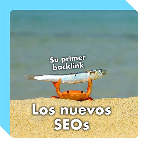 Semrush En Español Semrush Es Twitter