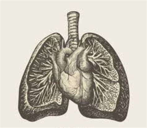 Atchaya Varshini On Linkedin Snsdesignthinkers Snsinstitutions Snscop