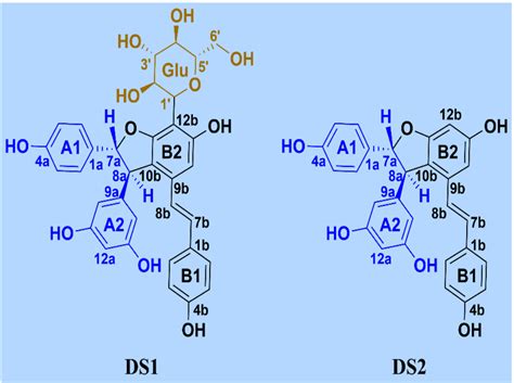 Farmakokinetik Pemodelan DFT Molecular Docking Dan Simulasi Molecular Dinamic Universitas