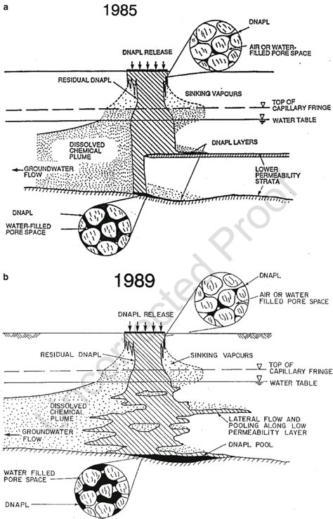 1 A Schematic Distribution Of Dnapl In Porous Media Representative