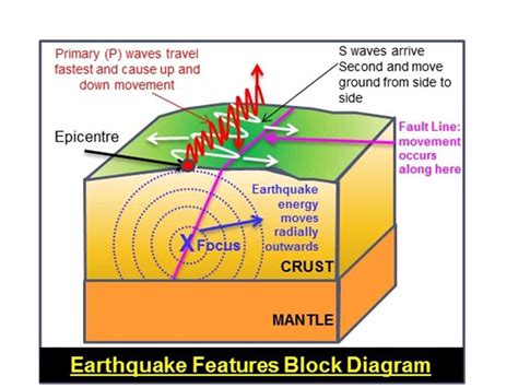 Understanding The Anatomy Of An Earthquake Label This Informative Diagram