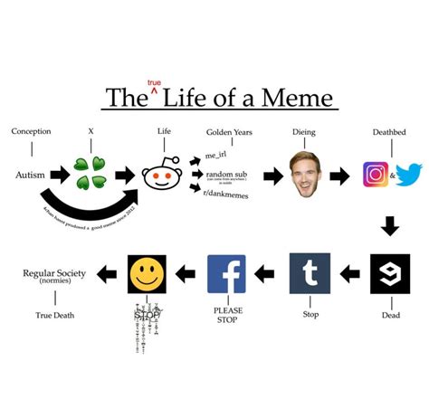 The True Life Of A Meme Meme Life Cycle Charts Know Your Meme