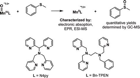 Scheme 1 Sulfoxidation Of Thioanisole With Mn Iv Oxo Complexes
