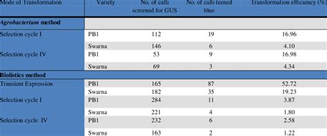 The Rates Of Transformation In Agrobacterium And Biolistic Method