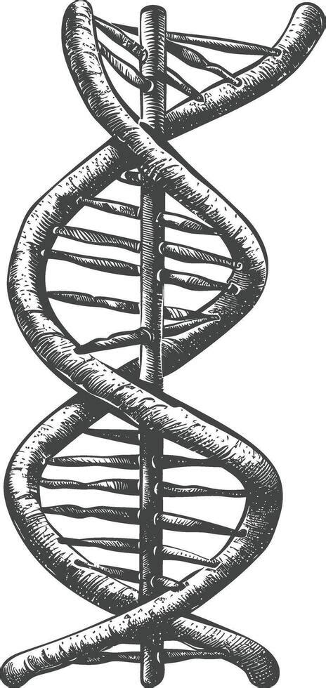 Gene Dna Mutation Symbol With Engraving Style Black Color Only 46012138 Vector Art At Vecteezy