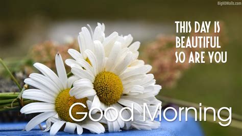 Good Morning Beautiful Wallpapers Wallpaper Cave