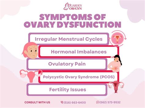 Understanding Symptoms Of Ovary Dysfunction Garden Obgyn Obstetrics